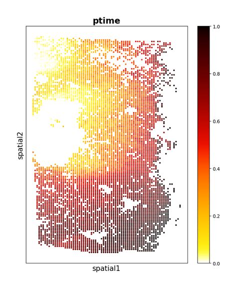 Apply Spatrack On Spatial Data Of Intrahepatic Cholangiocarcinoma Cancer Stereopy