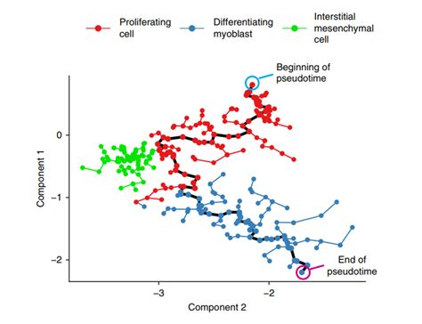 基于单细胞测序数据构建细胞状态转换轨迹 Cell Trajectory 方法总结 Aipufu 博客园