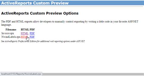 Custom Preview Activereports 17 Net Edition