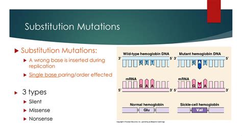 mutations in the genetic code ppt download