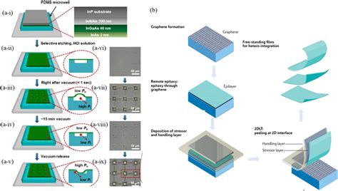 Recent Advances In Single Crystal Narrow Band Gap Semiconductor Nanomembranes And Their Flexible