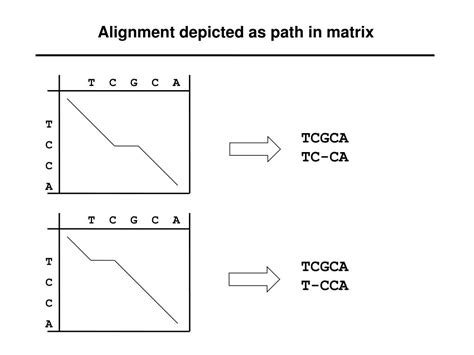 Ppt Pairwise Alignment Global And Local Alignment Powerpoint