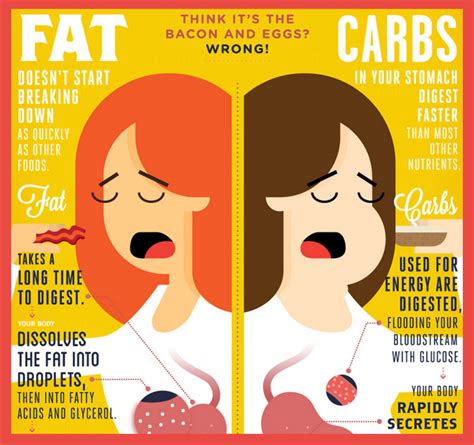 When Does The Body Utilize Fat Efficiently As A Fuel TRE