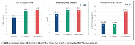 Phytogenic Feed Additives Garlic And Cinnamon To Improve Orffa