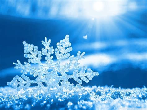 Snowflake Aesthetic Wallpapers · 200 Backgrounds ️