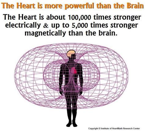 Electromagnetic Vortex ‘machine Clears Your Magnetic Chi Field
