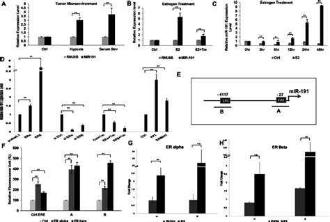 Transcriptional Regulation Of Mir 191 A Stem Loop Qrtpcr Data Download Scientific Diagram