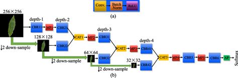 Automated Species Identification Semantic Scholar