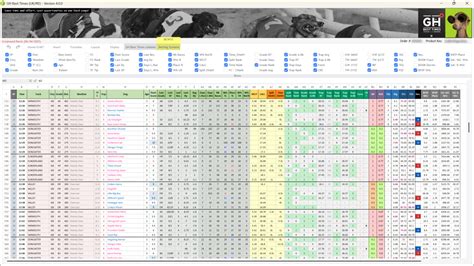 Greyhound Racing Excel Data Access Gh Best Times