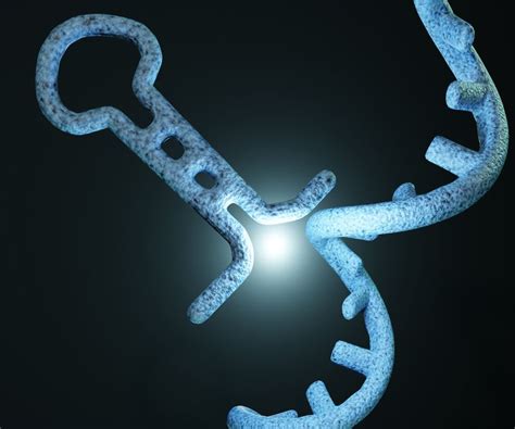 Noncoding Rna In Health And Disease Drug Discovery News