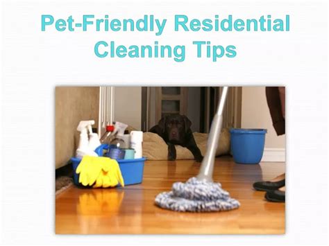 Ppt Pet Friendly Residential Cleaning Tips Powerpoint Presentation