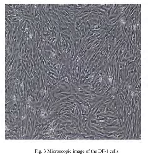 Figure 3 From Design And Modelling Of An Impedance Based Mems Biosensor