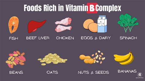 vitamin b sources