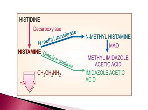 Histamine And Antihistamine Drugs Pptx