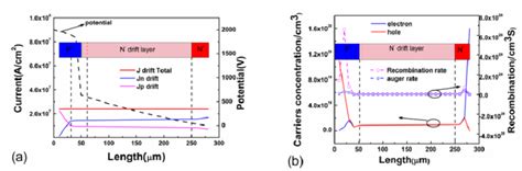 Longitudinal Physical Parameter Distribution Of The Pin Diode At 2000v