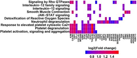The Reactome Pathway Analysis Of Differentially Expressed Proteins In