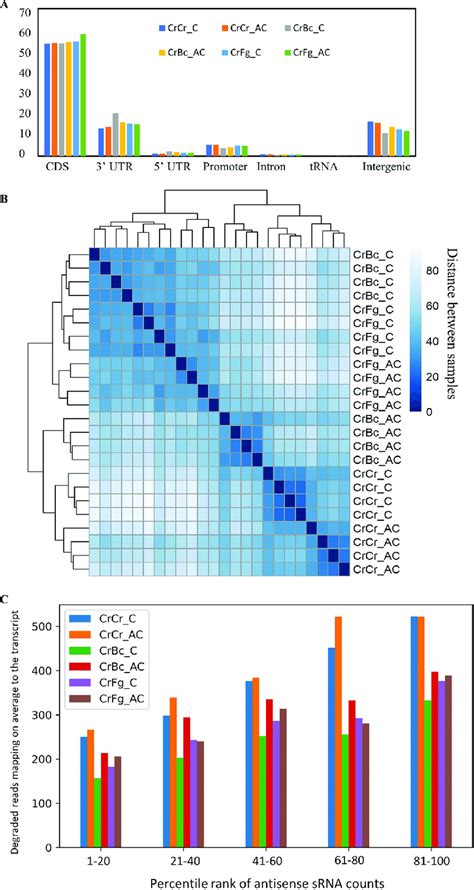 Degradome Sequence Analyses A Results Of Degradome Read Mapping On