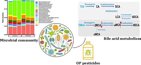 【中科院1区10 3】代谢组 微生物组｜农科院王静and金茂俊研究团队基于体外发酵模型揭示有机磷农药对肠道微生物和胆汁酸代谢的影响 知乎