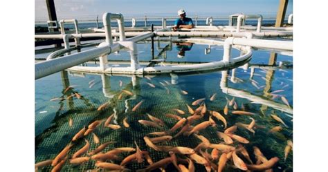 Разплащателната агенция подкрепи сектор „Рибарство“ с над 1 млн лв Български Фермер