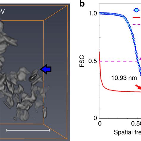 Discharge Capacity And Coulombic Efficiency Versus Cycle Number For The