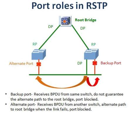 Different Types Of Spanning Tree Protocol Explore Routing And Switching