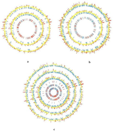 Rna Seq Based Transcriptome Analysis Of Methicillin Resistant
