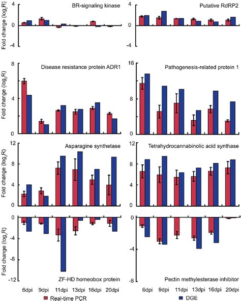 Quantitative Rt Pcr Qrt Pcr Validation Of The Relative Expression