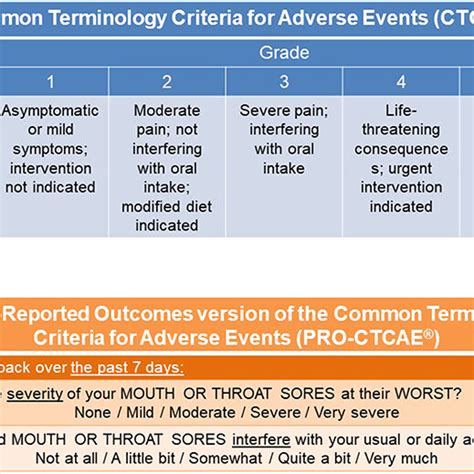 Ctcae Grades And Pro Ctcae ® Response Choices Associated Scores Download Scientific Diagram