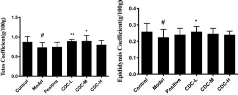 Effect Of β Cyclodextrin Curcumin On Organ Coefficient Of Download Scientific Diagram