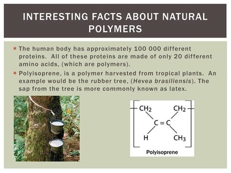 Ppt Natural Polymers Powerpoint Presentation Free Download Id 2609255