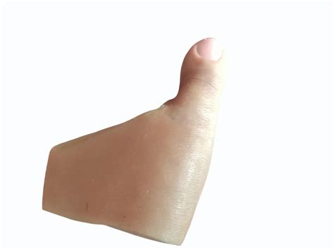 Silicone Great Toe With Band At Best Price In New Delhi By P And O Rehab Clinic Id 2856715857488