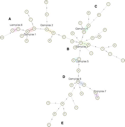 Minimum Spanning Tree Of M Tuberculosis Strains Reconstructed From