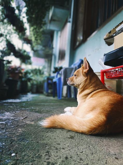 Untitled Giang Tong Flickr