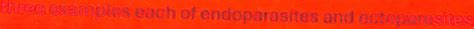 List Three Examples Each Of Endoparasites And Ectoparasites Three Examples Each Of Endoparasites