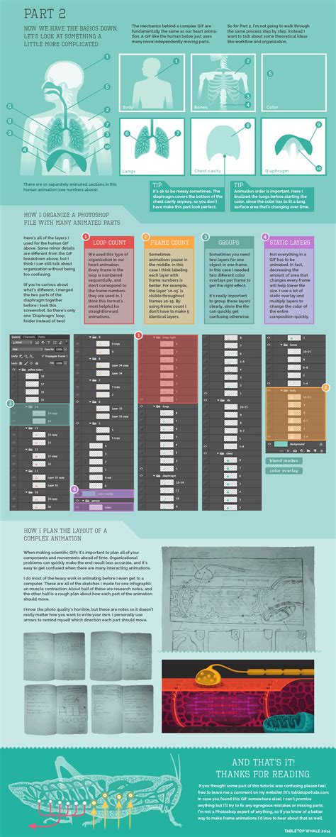 How To Make An Animated GIF Infographic Cool Infographics