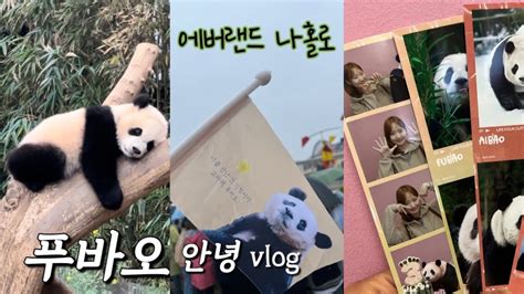 🐼푸바오 배웅 Vlog L 🎡혼자 에버랜드 가기ㅣ푸바오 배웅길 풀영상ㅣ떠나는 ️ 푸바오 배웅하기ㅣ바오패밀리 루이바오and후이바오