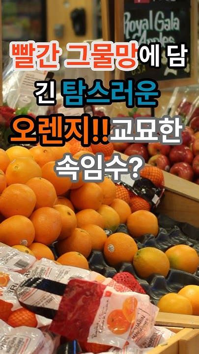 빨간 그물망에 담긴 탐스러운 오렌지교묘한 속임수 Youtube