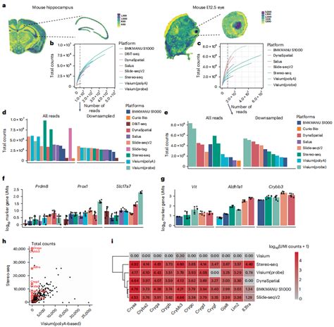 Nat Methods 基于测序的 种空间转录组学方法的系统比较 SEQ CN