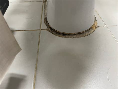 부천 변기수리 성곡동 원종동 양변기 테두리 아래 백시멘트 실리콘 마감 시공 네이버 블로그