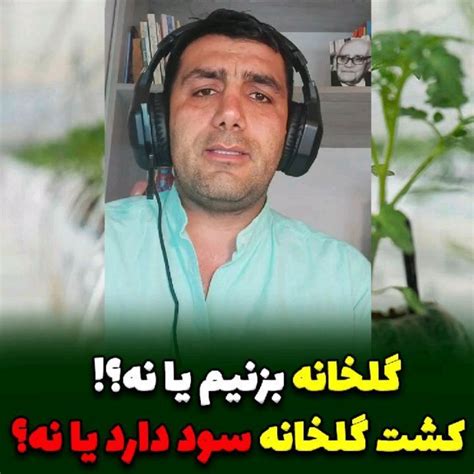 ‎🍅 حسین شیخ سفلی گلخانه بازار‎ ‎روش های مقابله با مگس سفید در گلخانه