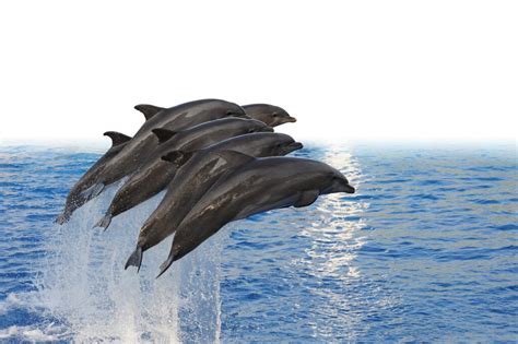 Shiv Iyer On Linkedin Understanding Cursor Implementation In Mysql