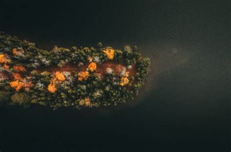 Assignment代写 Stat代写 统计学 经典案例🍐 Assignment代写 Stat代写 统计学 经典案例🍐