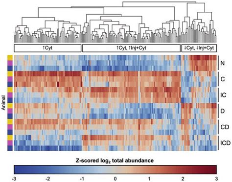 3 Heatmap Of Proteins Significantly Affected By Disease Treatment