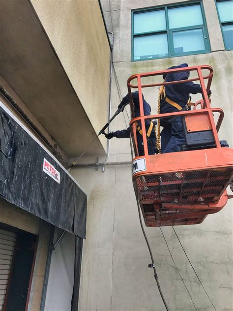 Bird Dropping Cleanup Nyc Standard Pest Management