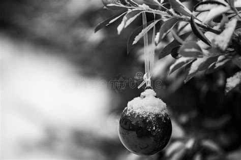 Lonely Glass Globe In Snowy Winter Scene Stock Image Image Of Glass
