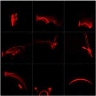 The Laser Interference Illustration By Laser Kinetic Download Scientific Diagram