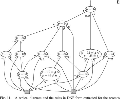 Figure 10 From Extracting Rules From Neural Networks As Decision
