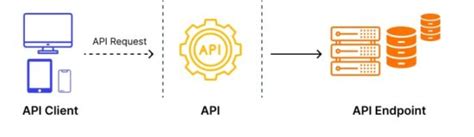 Api Vs Endpoint Demystifying The Tech Jargon For Developers Api Vs Endpoint Demystifying The Tech Jargon For Developers