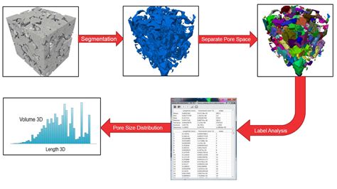 Xtra Library For Thermo Scientific Amira Avizo And Pergeos Software