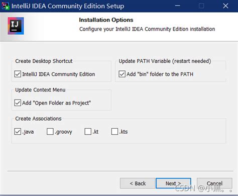 Idea社区版的安装和安装中文插件add Bin Folder To The Path要勾选吗 Csdn博客